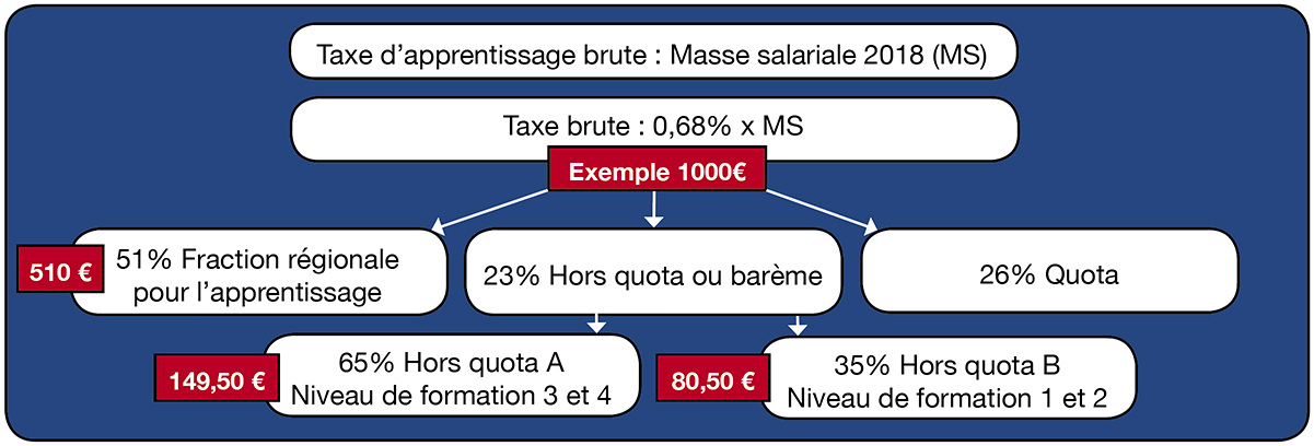 Stanislas Cannes - Taxe d'apprentissage